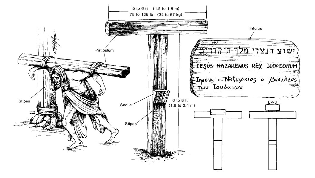 Crucifixion - Steds on The Physical DEATH OFJ ESUS CHRIST